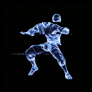 Holo Archive – Pixel Arc