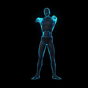 Holo Archive – Pixel Arc