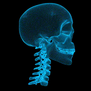 Holo Archive – Pixel Arc