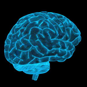 Holo Archive – Pixel Arc