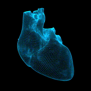 Holo Archive – Pixel Arc